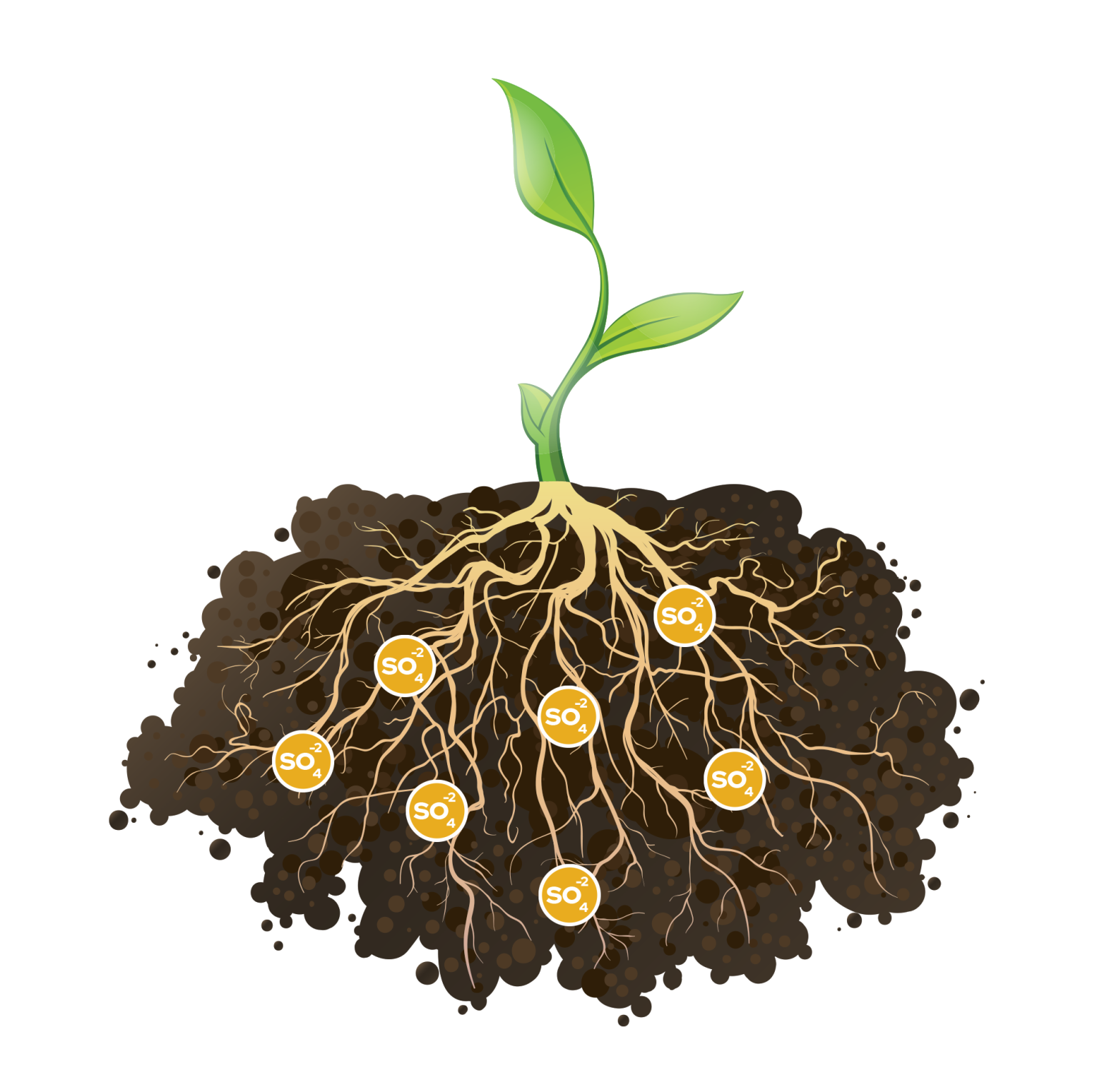 Fertipar Super S - Grupo Fertipar